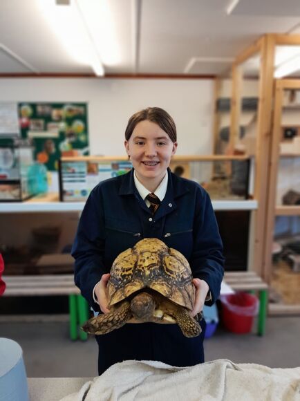 Wolverley Animal Centre (WAC) - Wolverley CE Secondary School